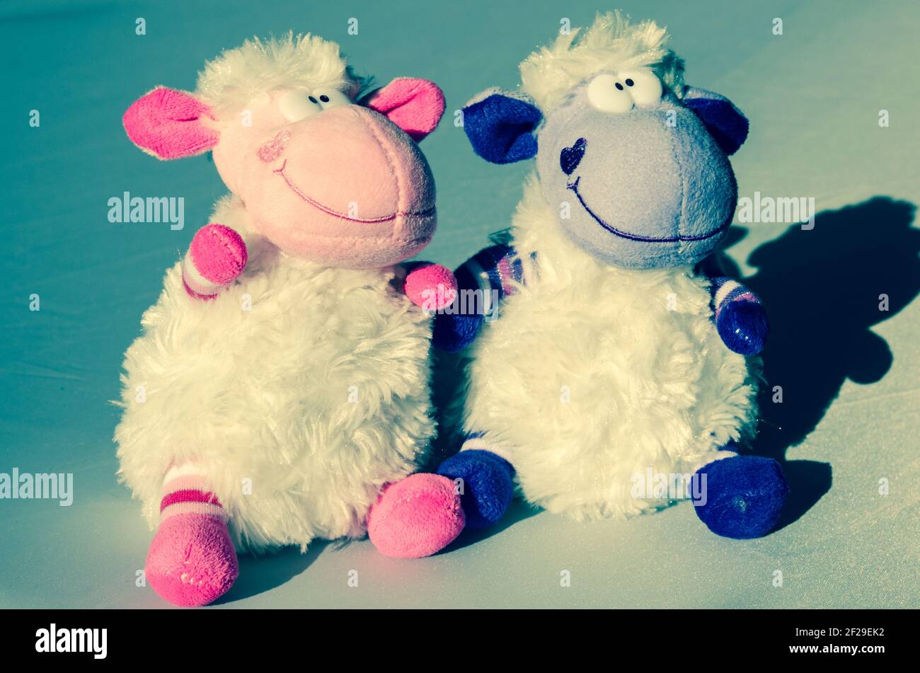 colorful sheeps toy concept image Stock Photo - Alamy