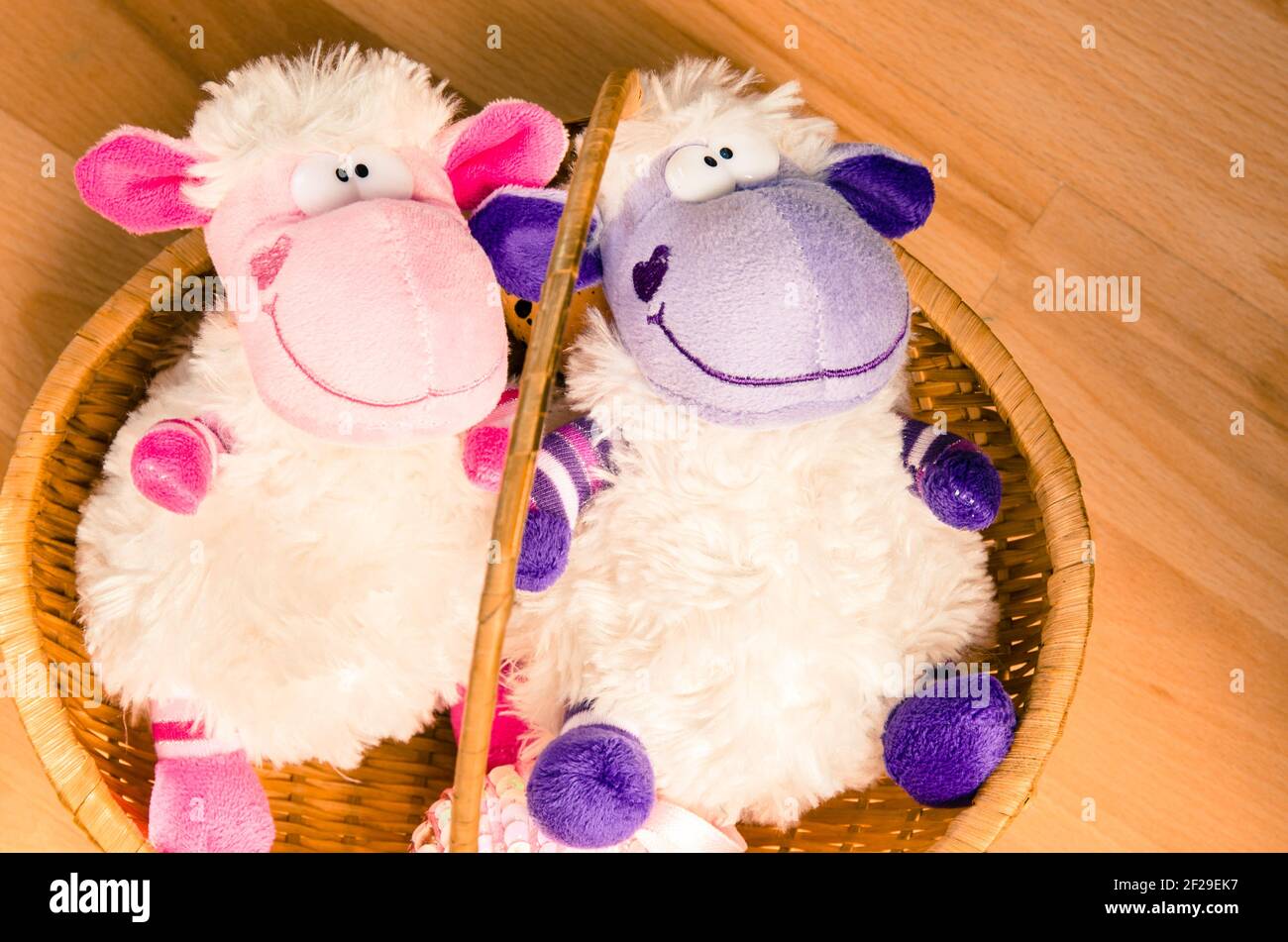 colorful sheeps toy concept image Stock Photo - Alamy