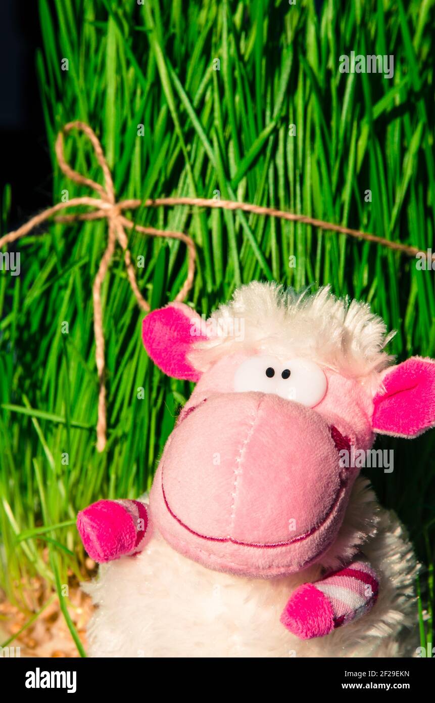 Sheep toy hi-res stock photography and images - Alamy