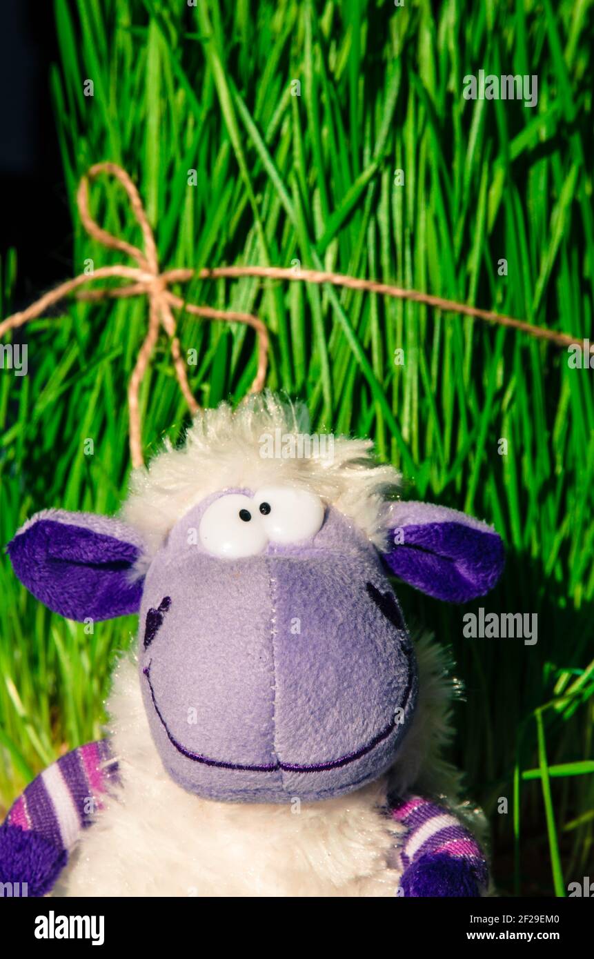 colorful sheep toy over green grass Stock Photo - Alamy