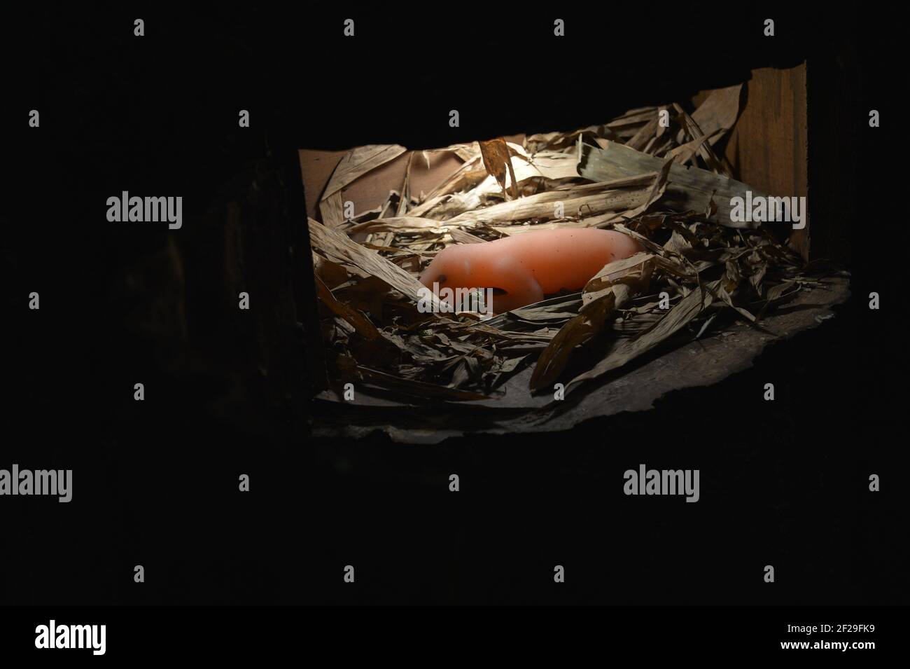 Photo shows the internal view of giant panda-themed museum in Chengdu ...