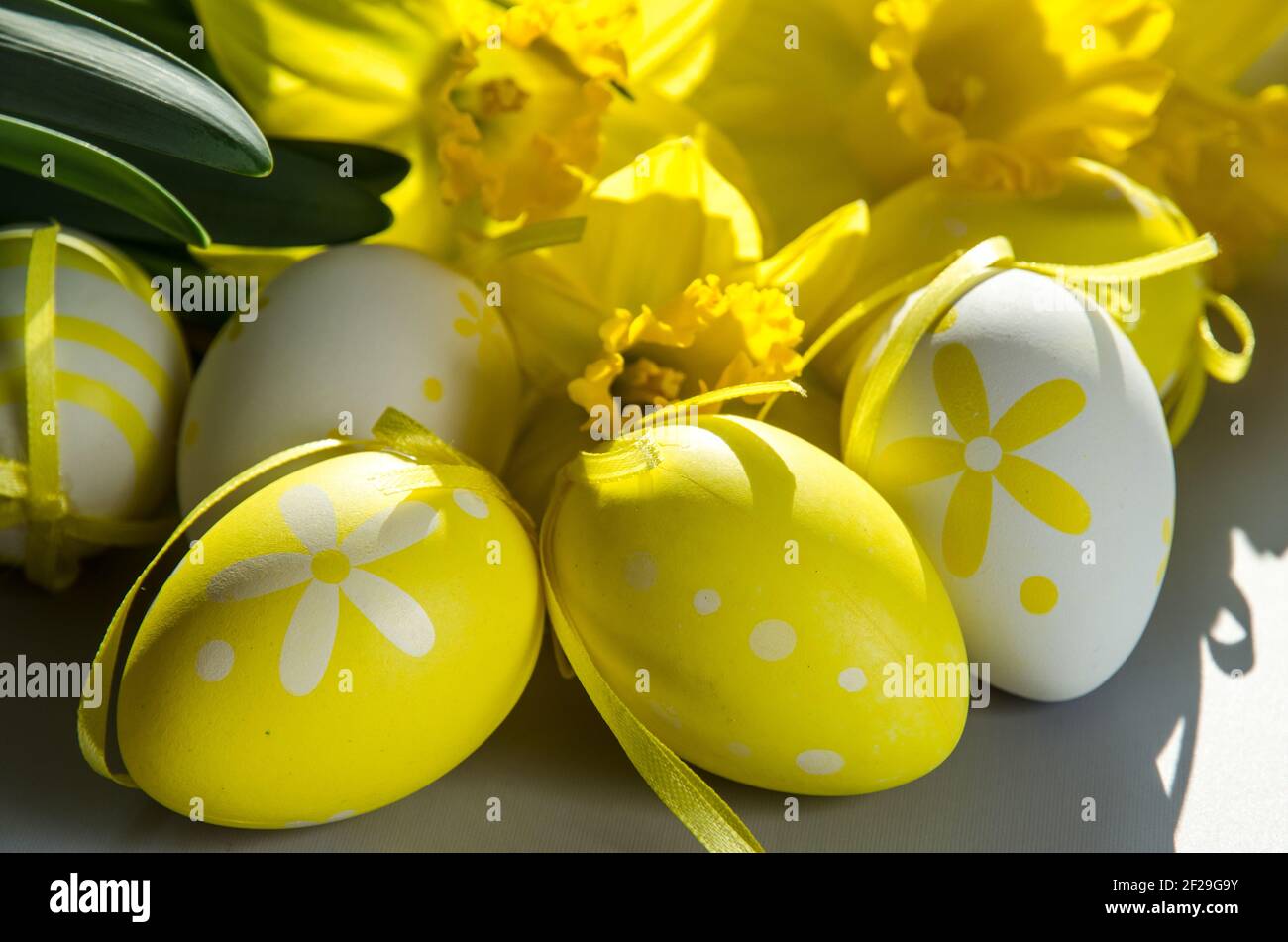Eggs daffodil hi-res stock photography and images - Alamy