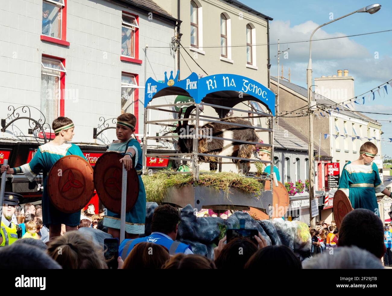 Kerry goat hi-res stock photography and images - Alamy