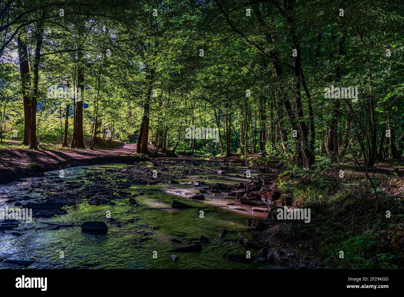 forest river in Altenberg, Germany Stock Photo - Alamy