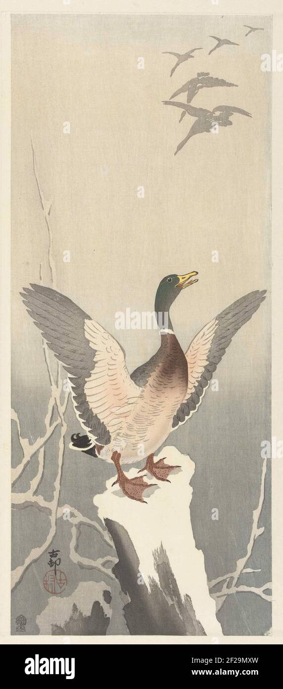 Duck on snowy tree stump. Cooking duck with blazing wings, standing on ...