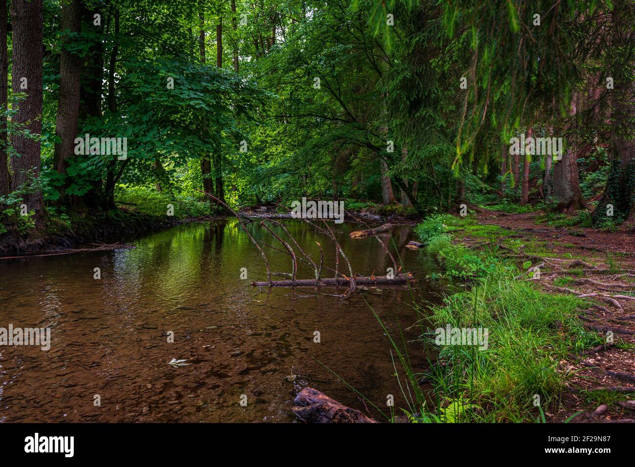 forest river in Altenberg, Germany Stock Photo - Alamy