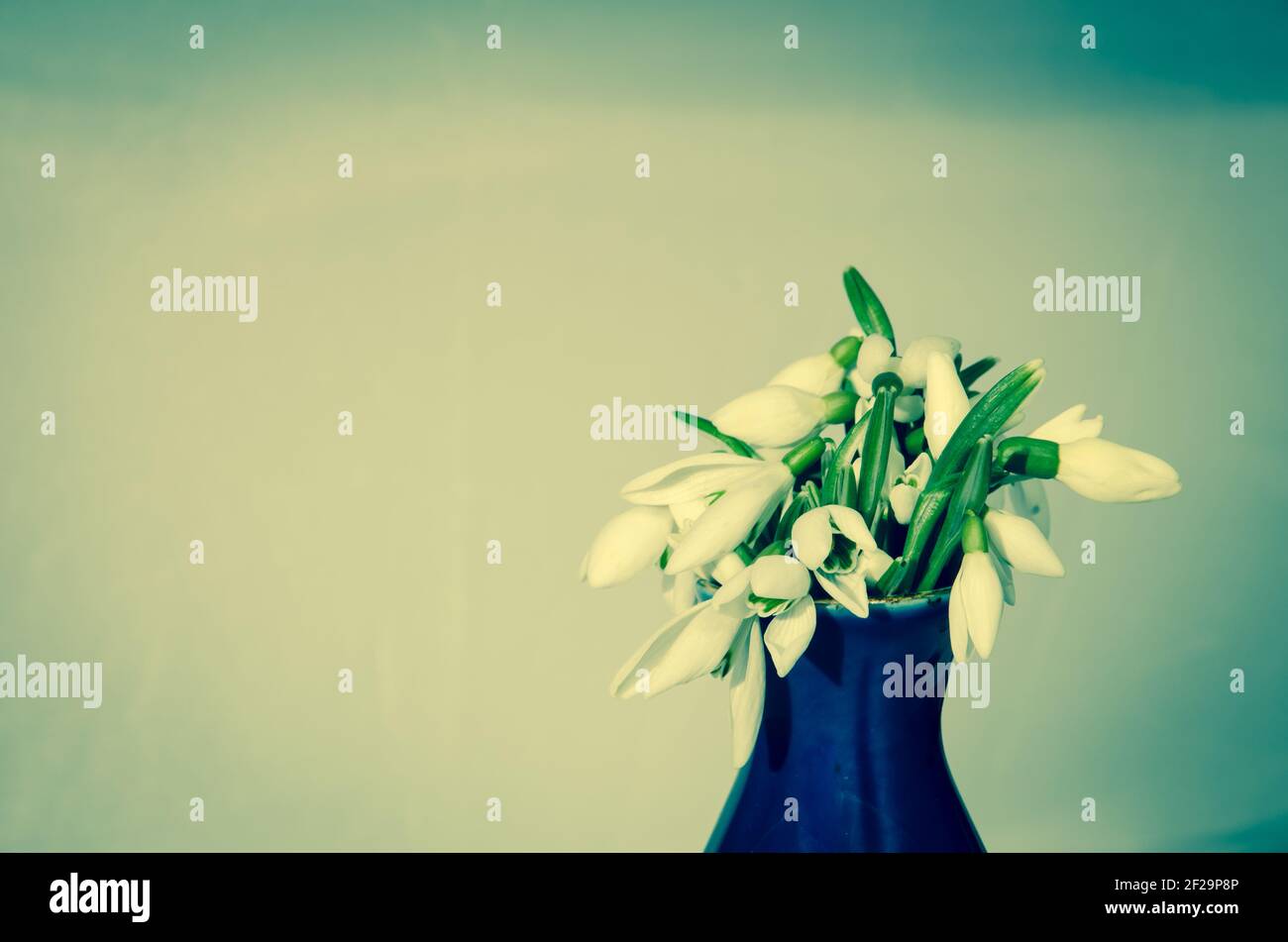 Snowdrop vase hi-res stock photography and images - Alamy