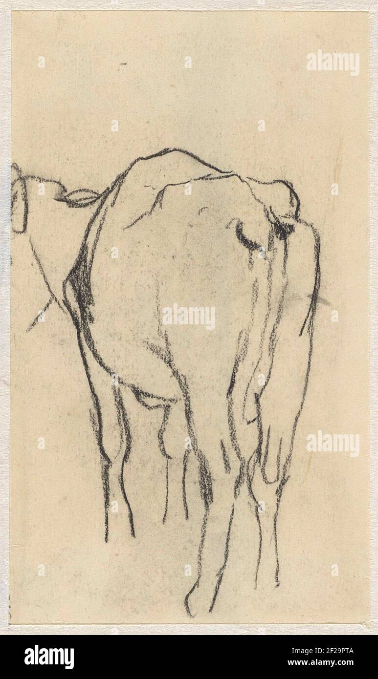 Standing cow from behind hi-res stock photography and images - Alamy