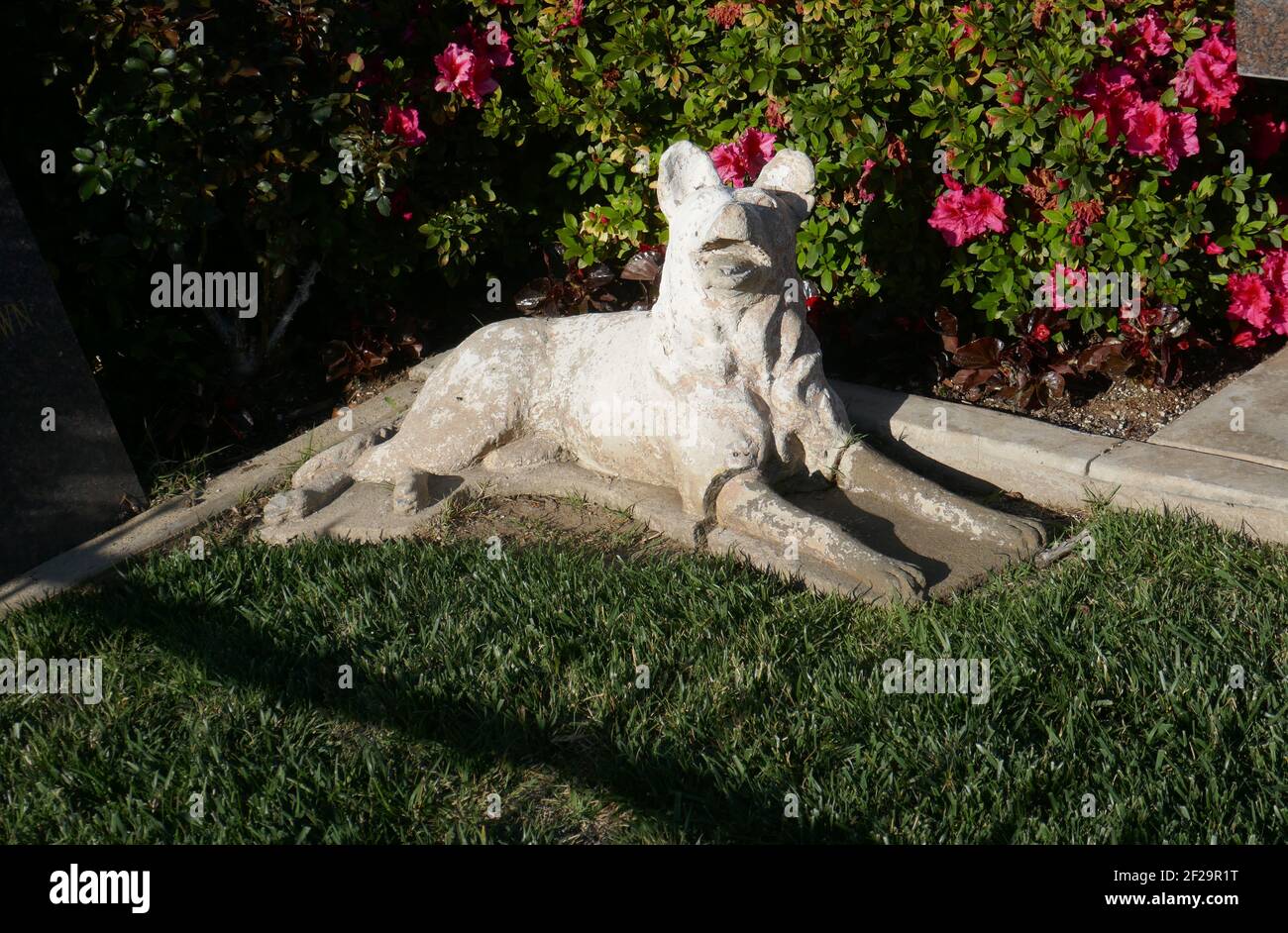 Los Angeles, California, USA 9th March 2021 A general view of ...