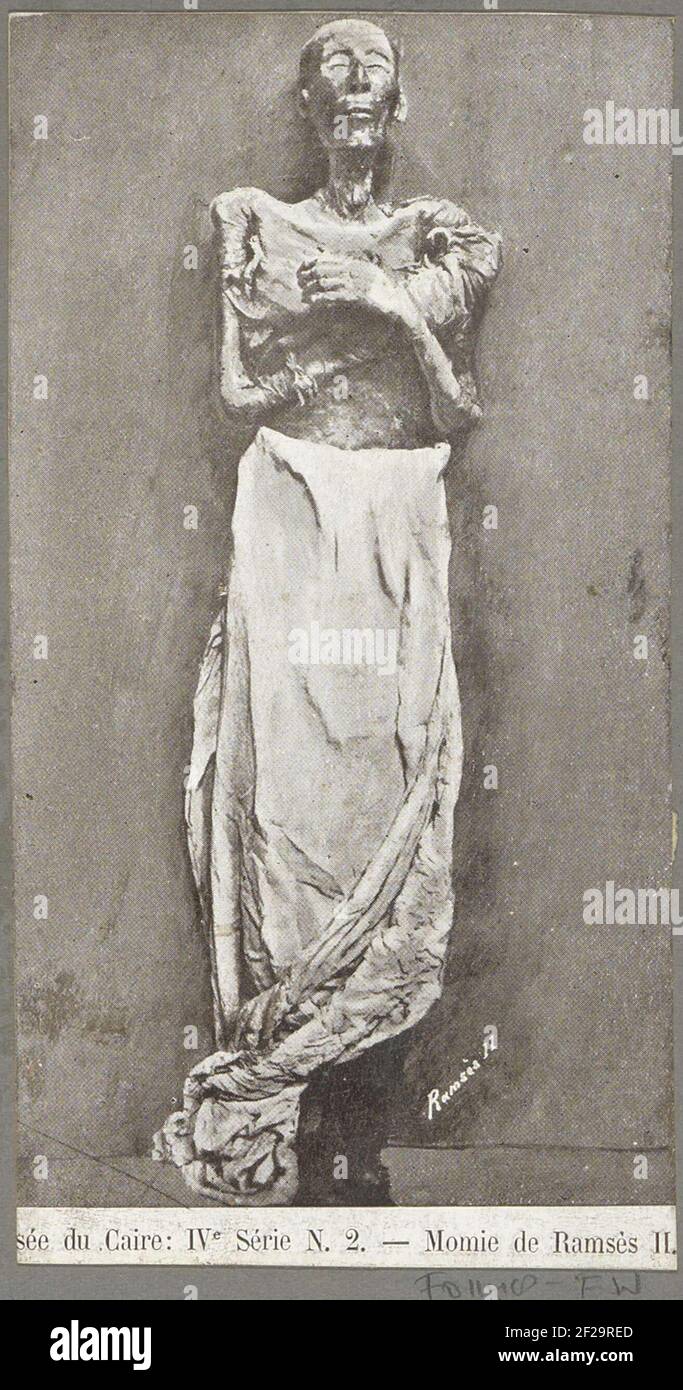 Mummy from Pharaoh Ramses II in the Cairo Museum; Musée du Caire: Momie ...
