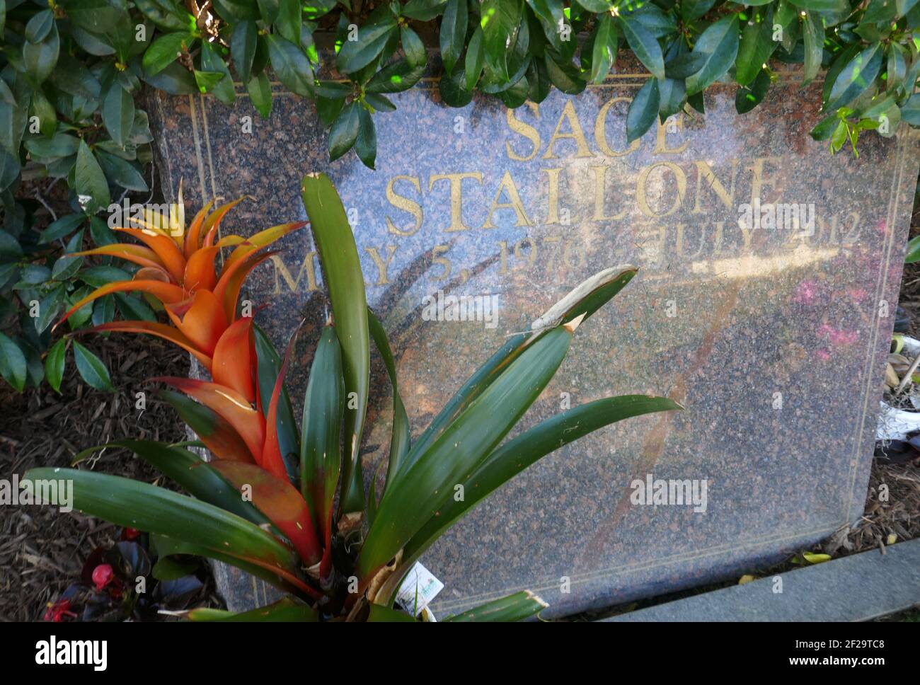 Los Angeles, California, USA 9th March 2021 A general view of ...