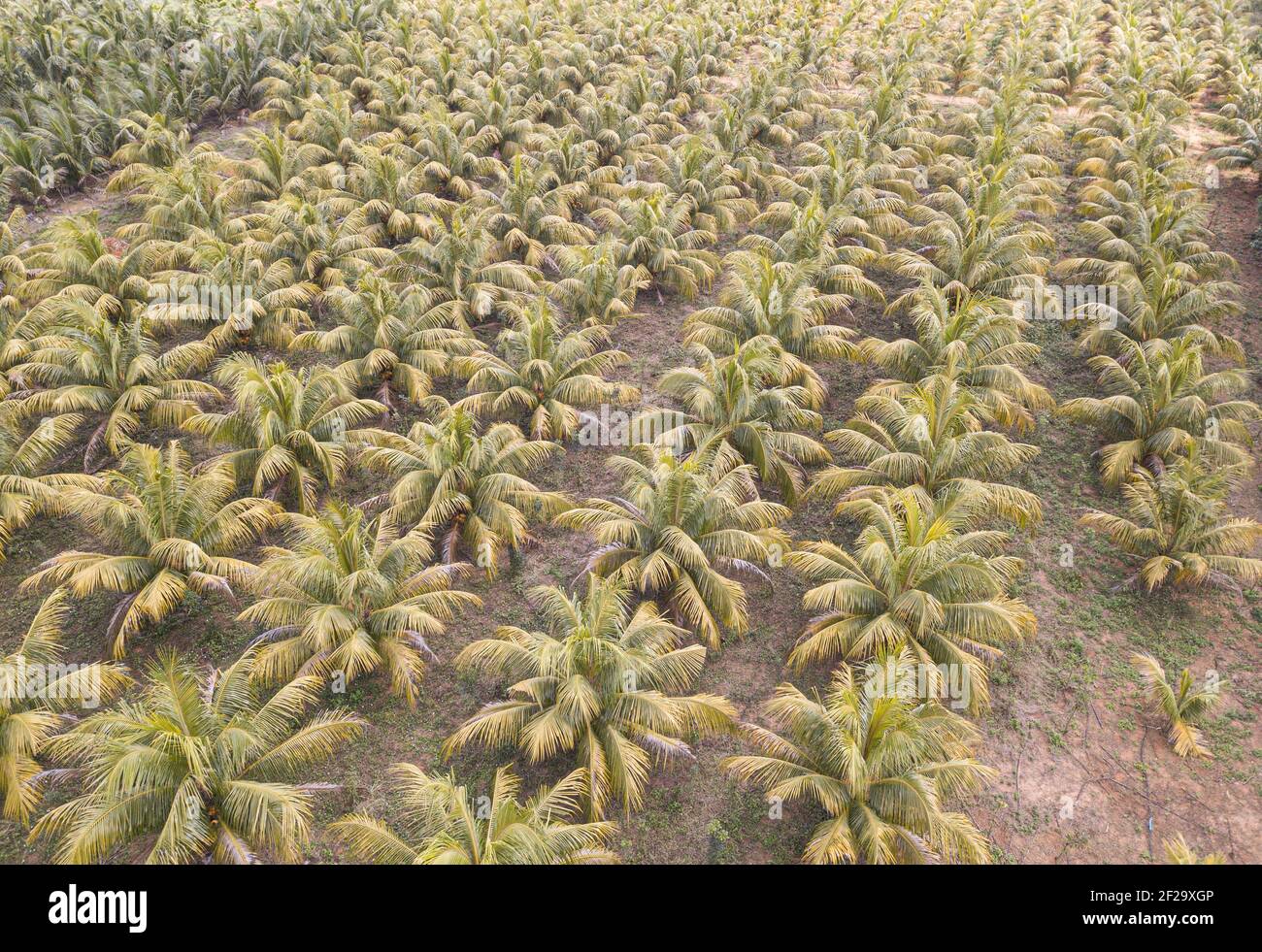 (210311) -- WENCHANG, March 11, 2021 (Xinhua) -- Aerial photo taken on ...