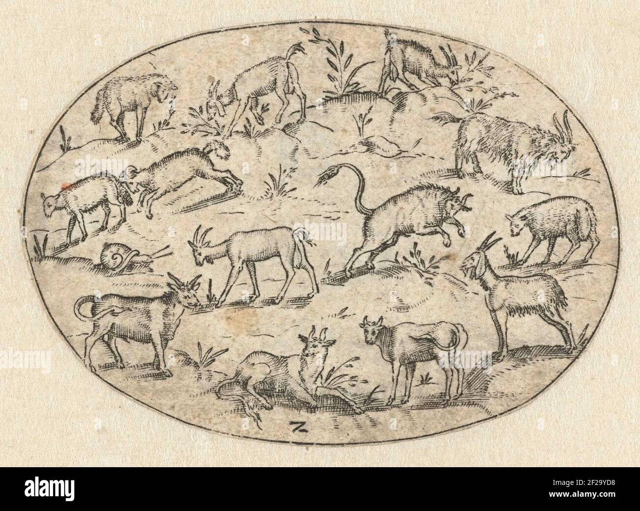 Oval with thirteen goats; Nev Thier BVechlein.The jumping goat in the ...