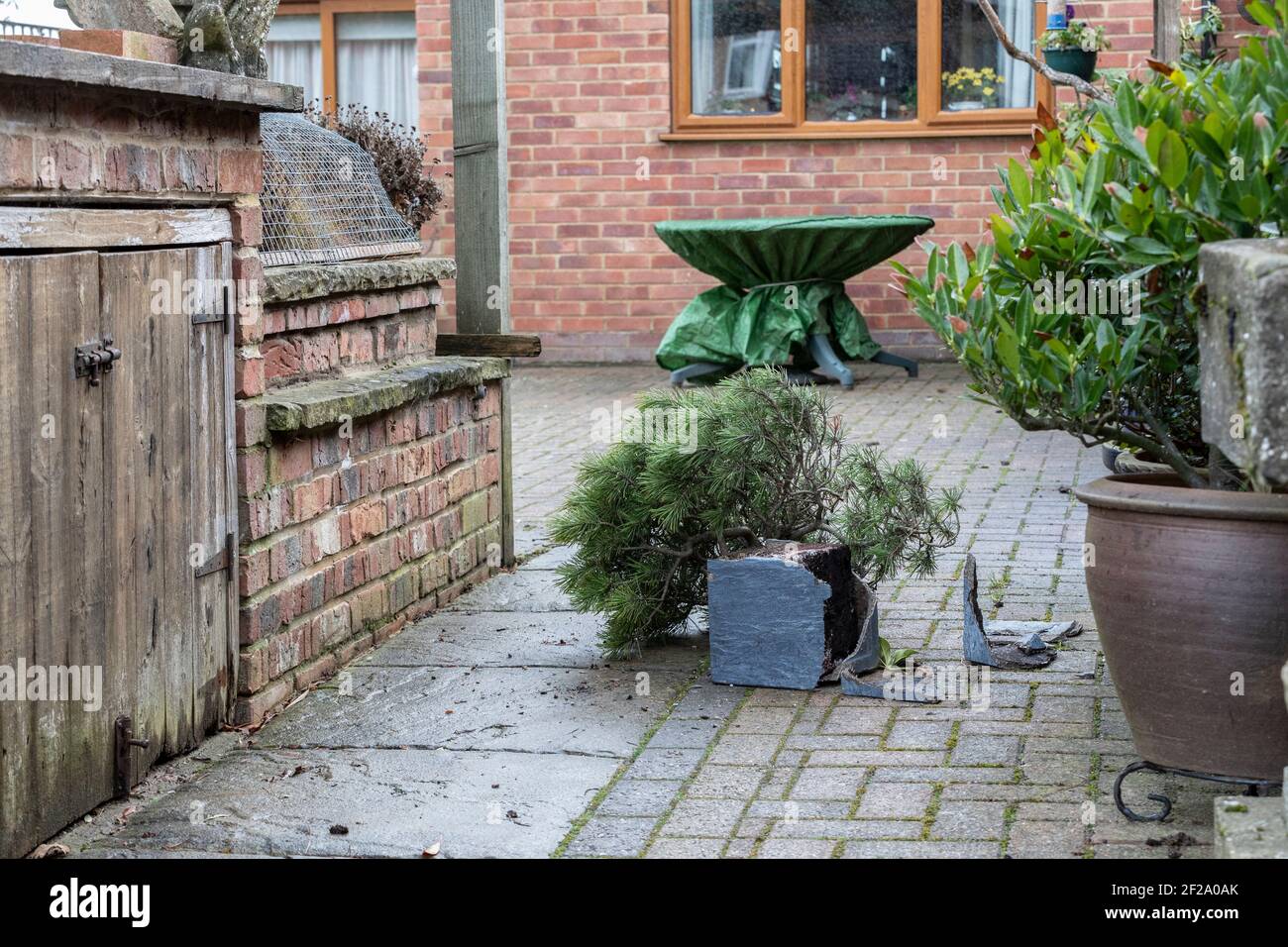 Smashing the tree hi-res stock photography and images - Alamy