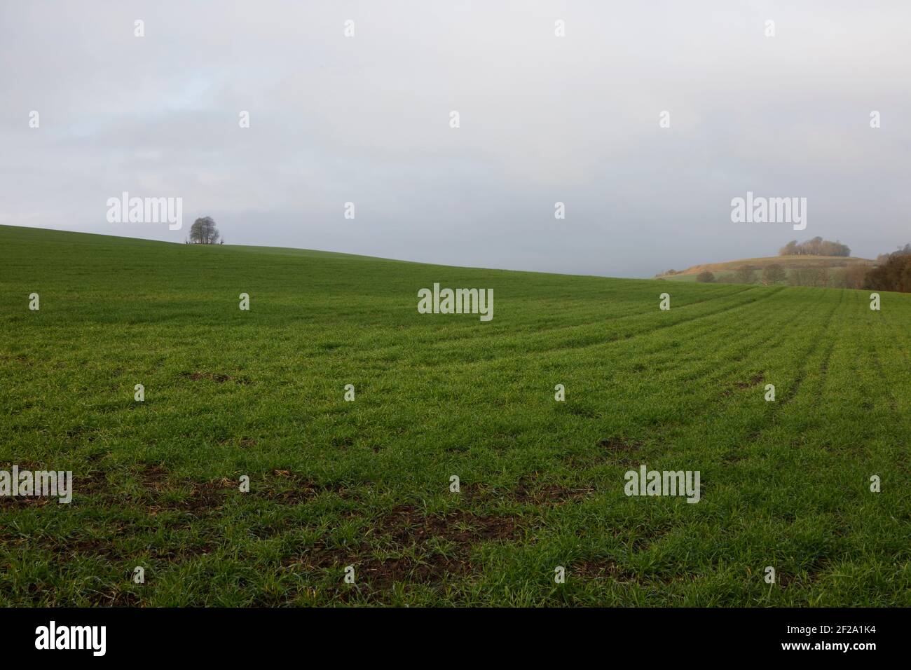Wittenham hi-res stock photography and images - Alamy
