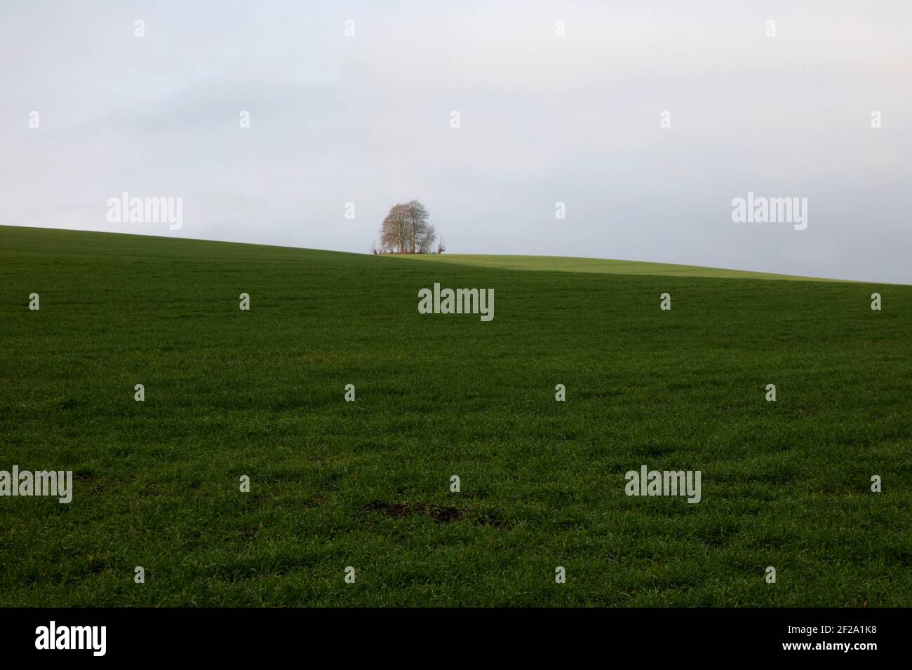 Brightwell Barrow, Oxfordshire, England, UK Stock Photo - Alamy
