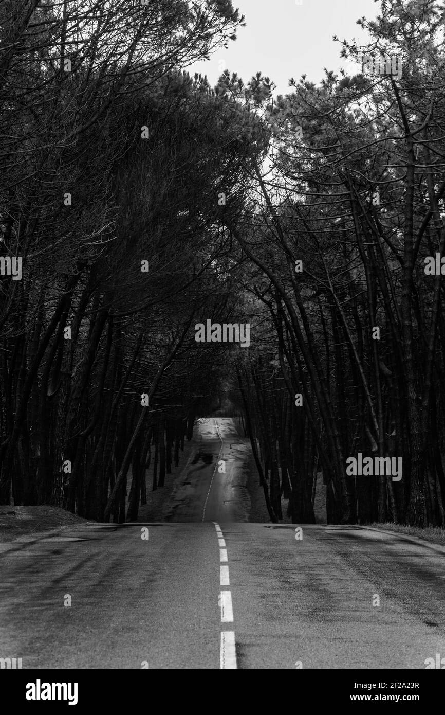 Scale surrounded Black and White Stock Photos & Images - Alamy