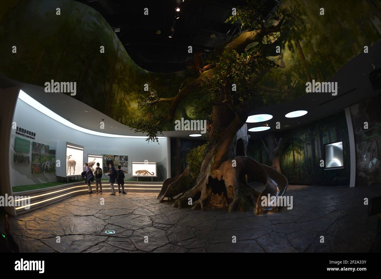 Chengdu City, China. March 11 2021: Photo shows the internal view of ...