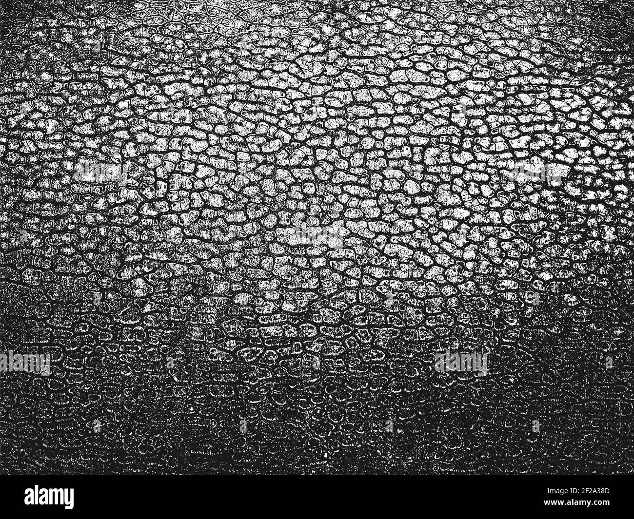 Broken texture overlay Stock Vector Images - Alamy