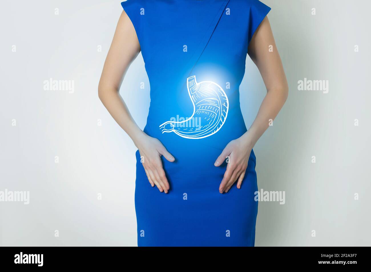 Graphic visualization of healthy human stomach organ, positive blue ...