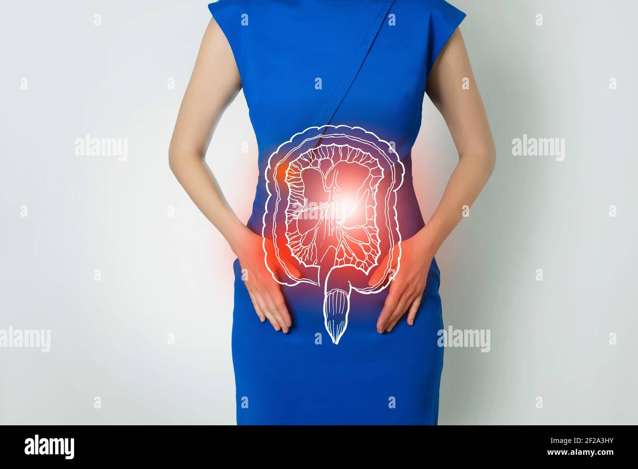 Woman anatomy intestine hi-res stock photography and images - Alamy