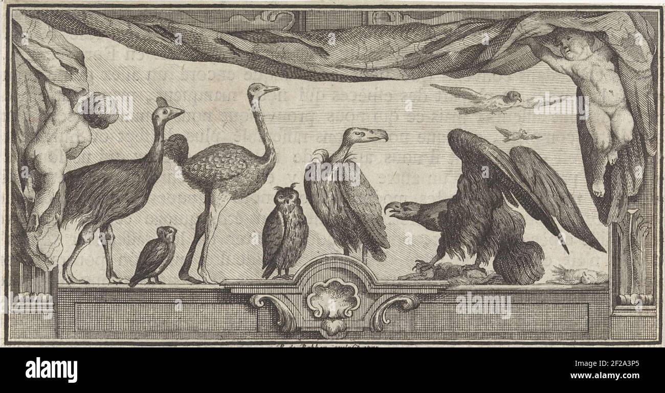 Two putti supports a drapery and show some birds. In a row from left to ...