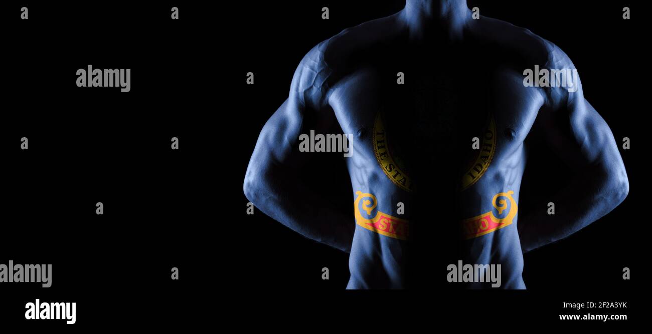 Idaho flag on muscled male torso with abs, Idaho bodybuilding concept ...