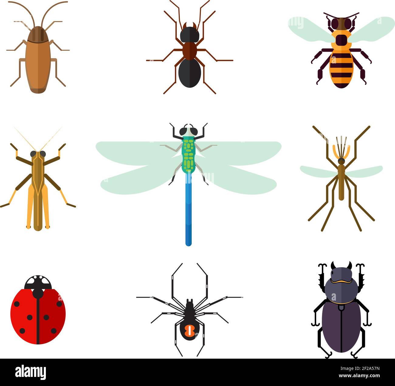 Icon set of insects in flat style. Cockroach ant ladybug bee mosquito ...