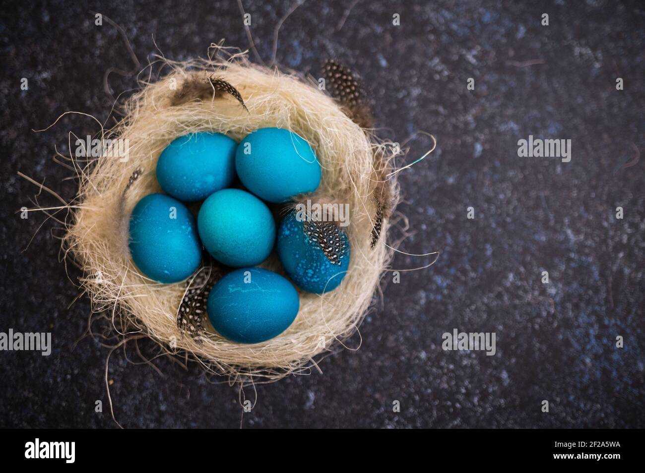 Easter turquoise eggs with twigs in a decorative nest on blue ...