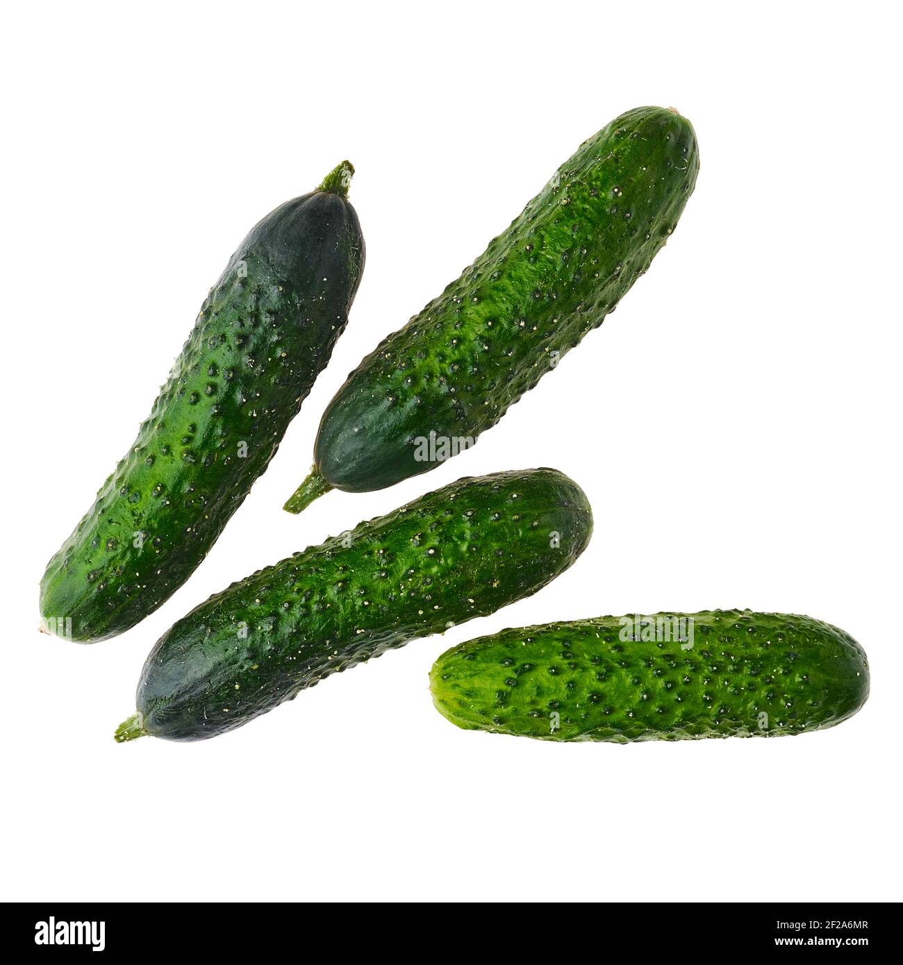 Top view of fresh spring cucumber isolated on white background Stock ...