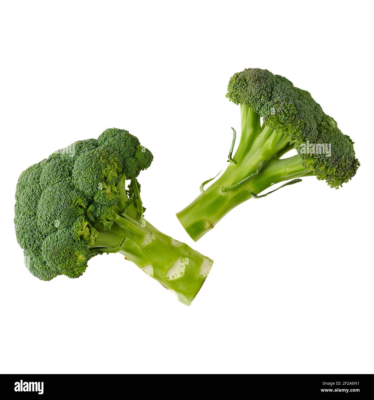 Top view of fresh broccoli isolated on white background Stock Photo - Alamy