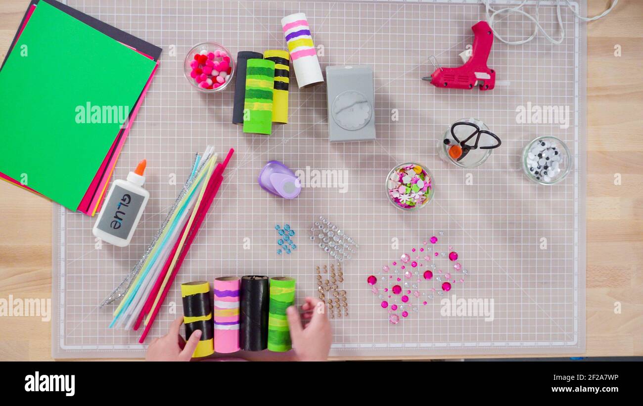 Flat lay. Kids papercraft. Making paper bugs out of the empty toilet ...