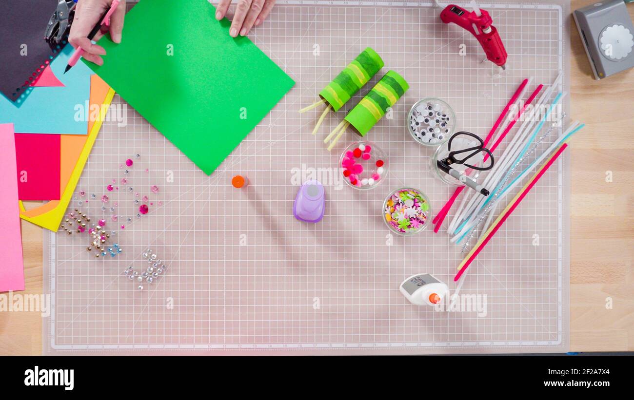 Flat lay. Kids papercraft. Making paper bugs out of the empty toilet ...