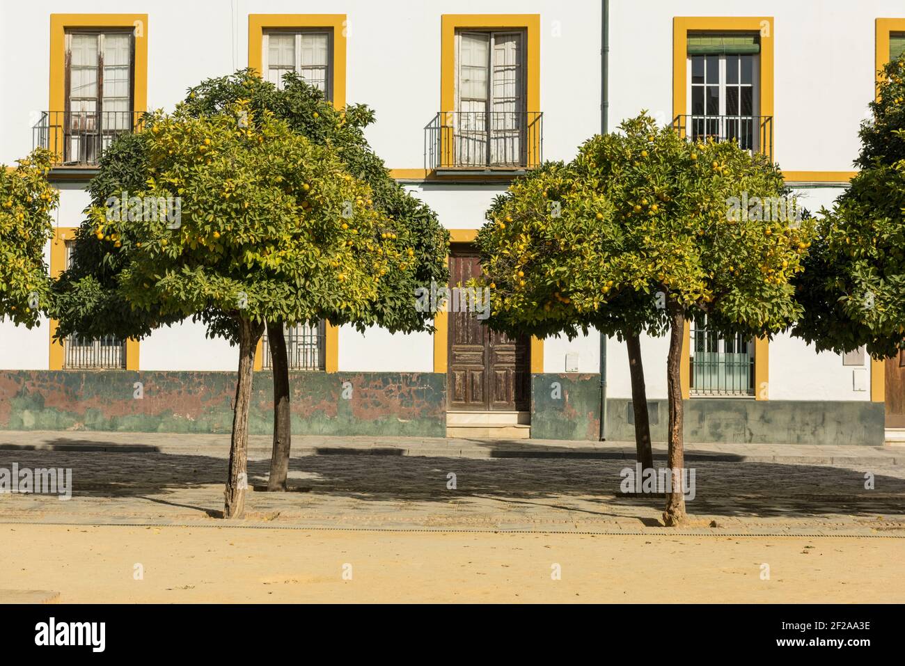 Seville oranges alcazar hi-res stock photography and images - Alamy