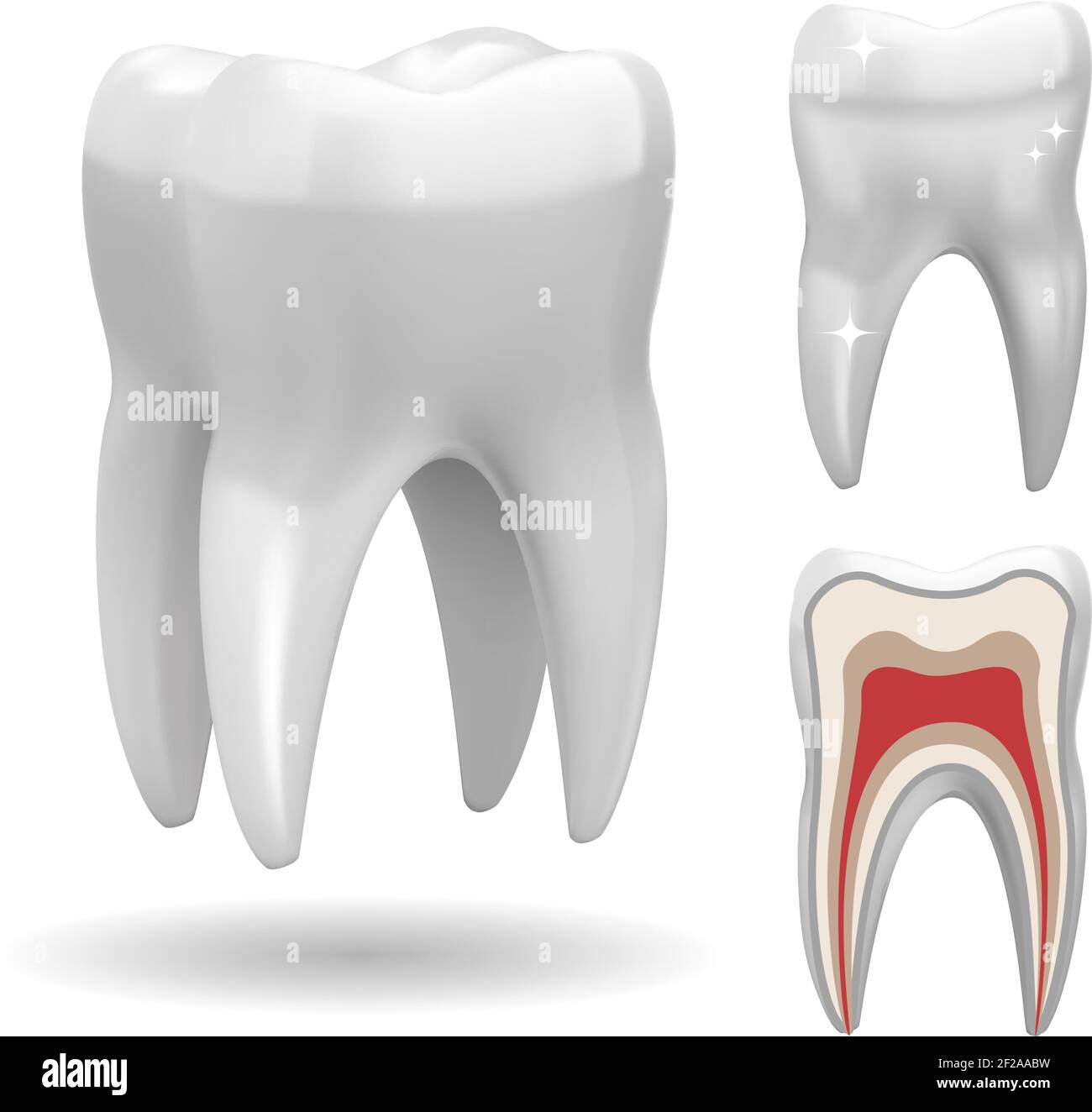 Cut version Stock Vector Images - Alamy