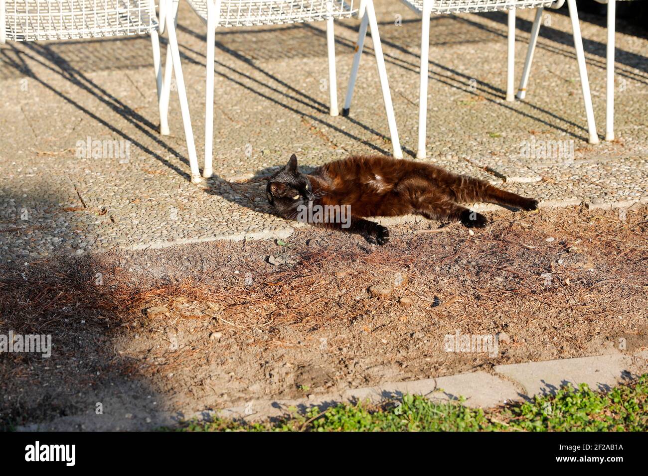 Relatives head head shot hi-res stock photography and images - Alamy