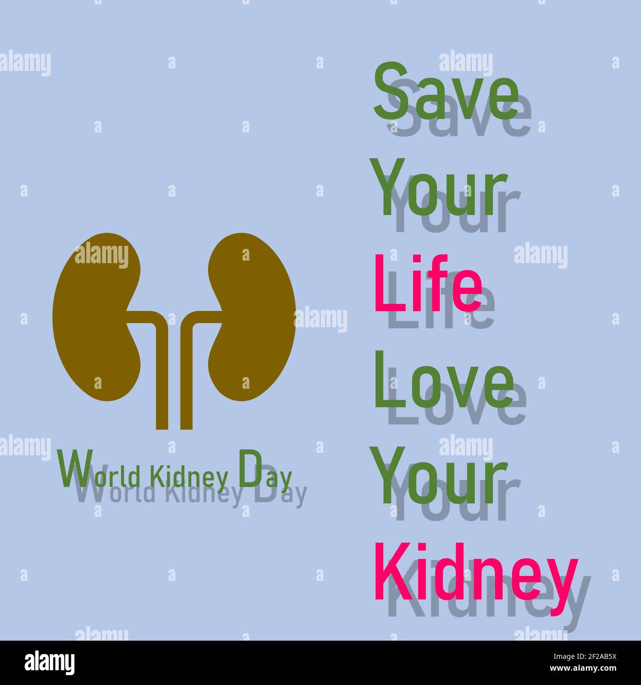 The illustration shows a picture of kidney. There is a word that is ...