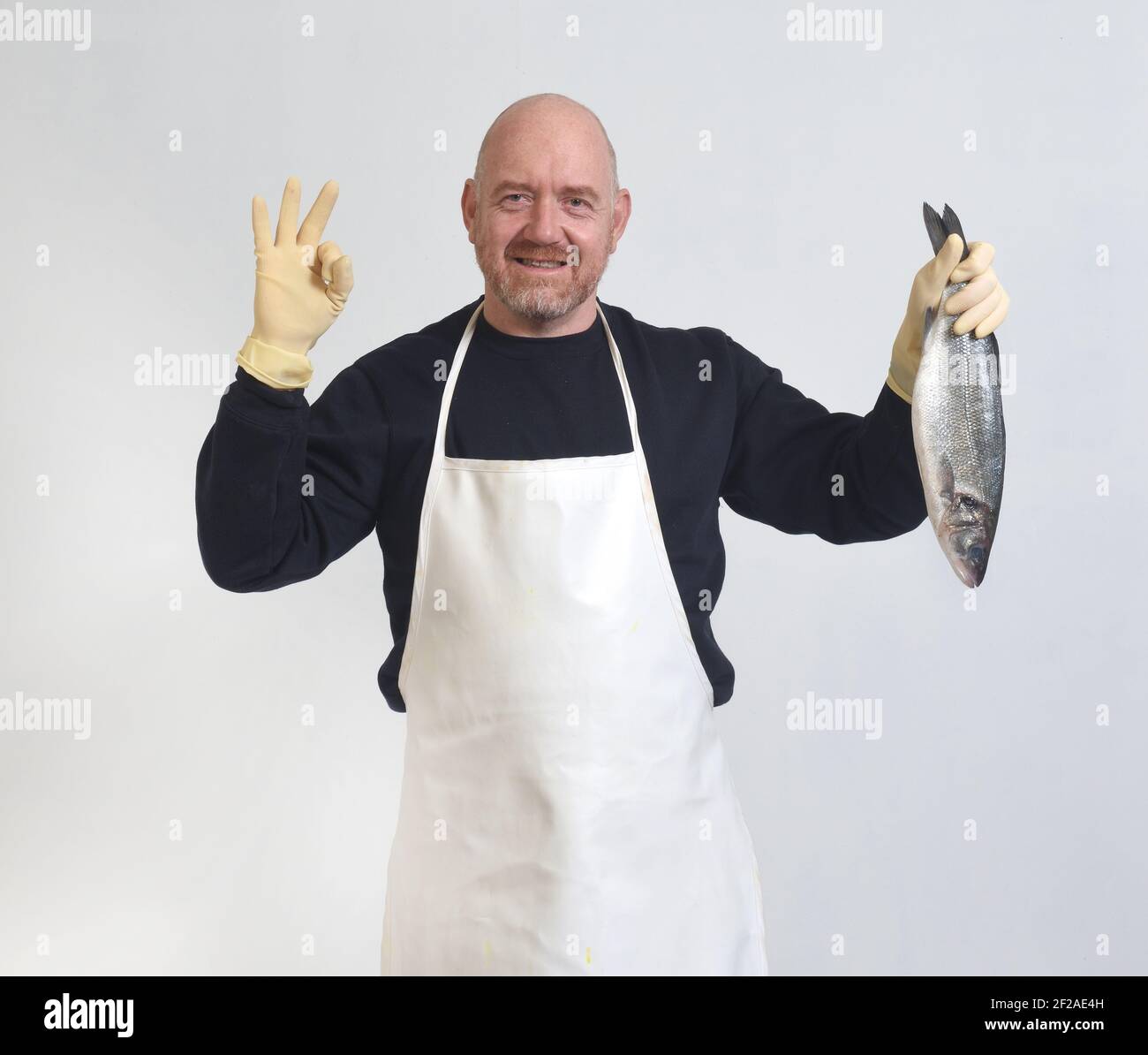 portrait of a fishmonger holding and ok sign at a sea bass on white ...