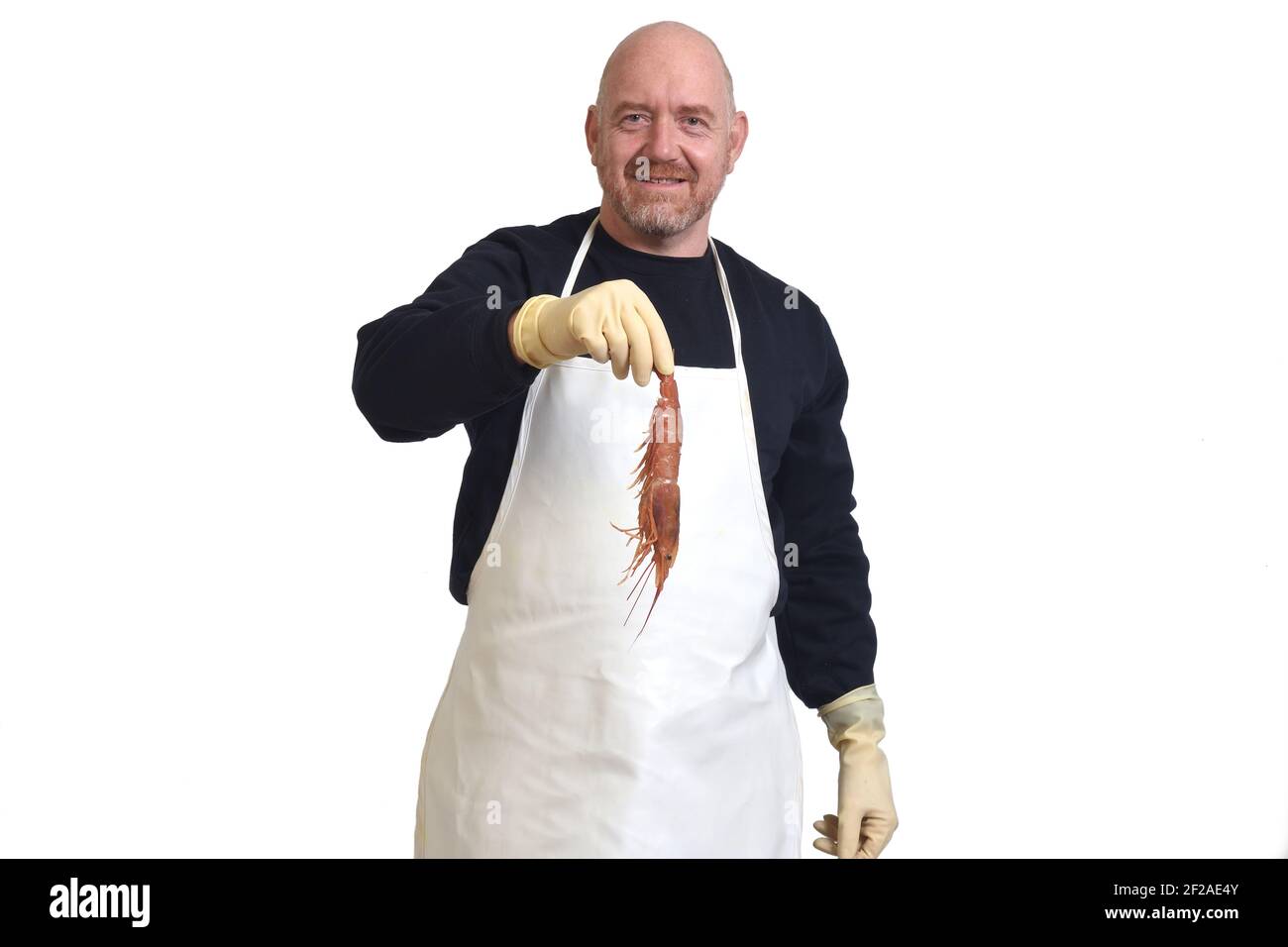 Profession fishmonger apron hi-res stock photography and images - Alamy