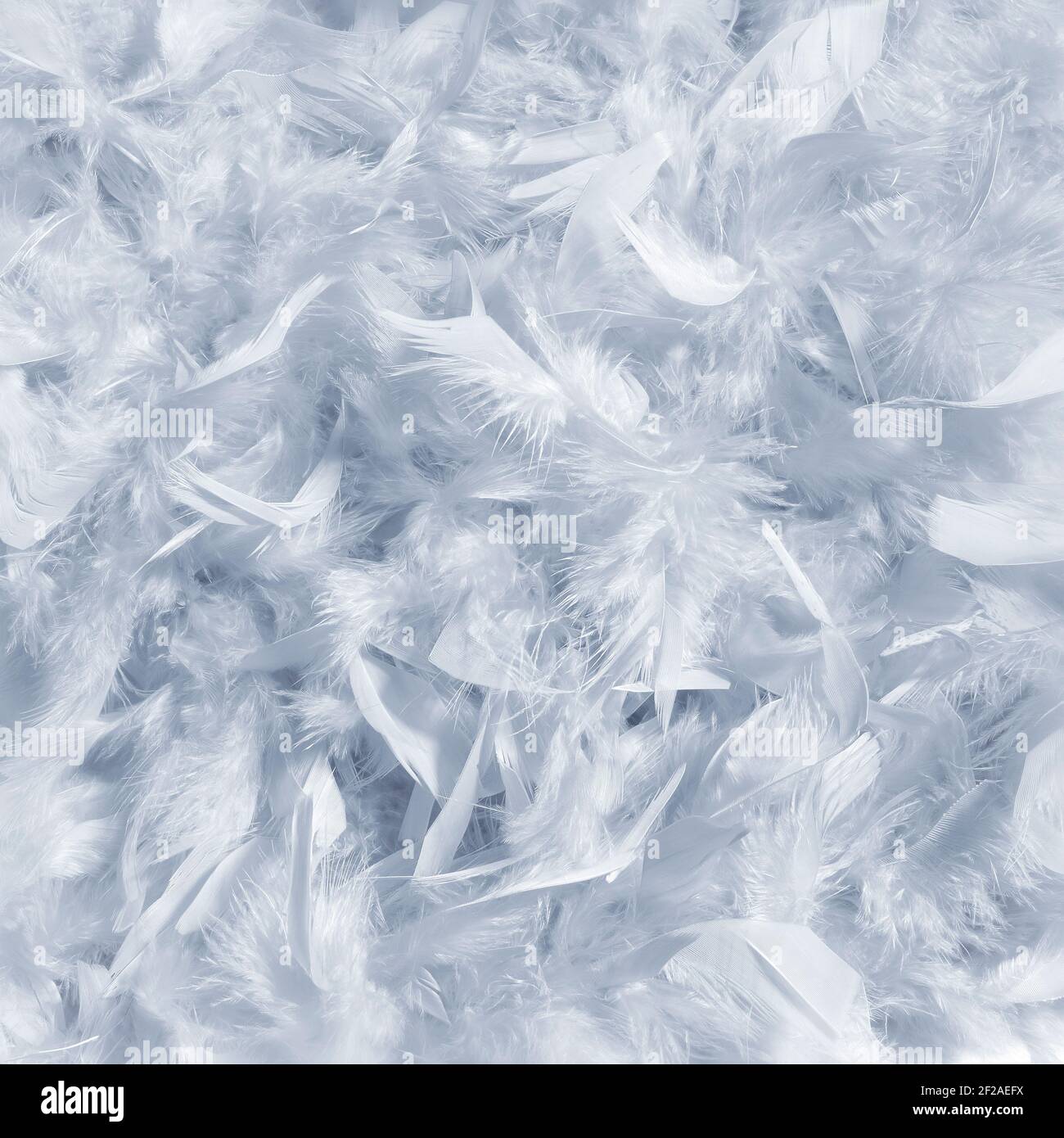 Soft background of white color feathers Stock Photo - Alamy