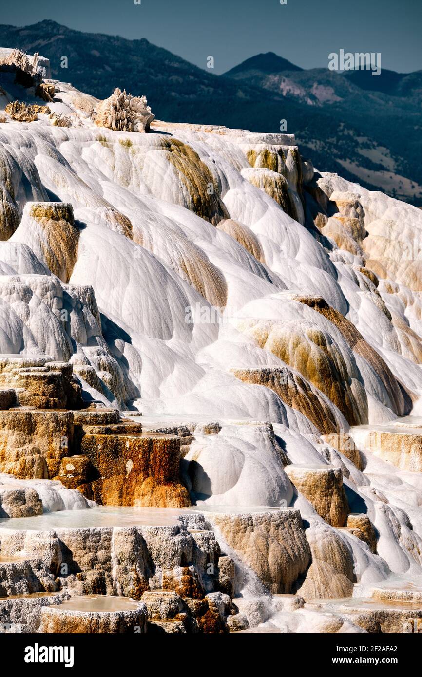A vertical shot of Mammoth Hot Springs in Yellowstone National Park ...