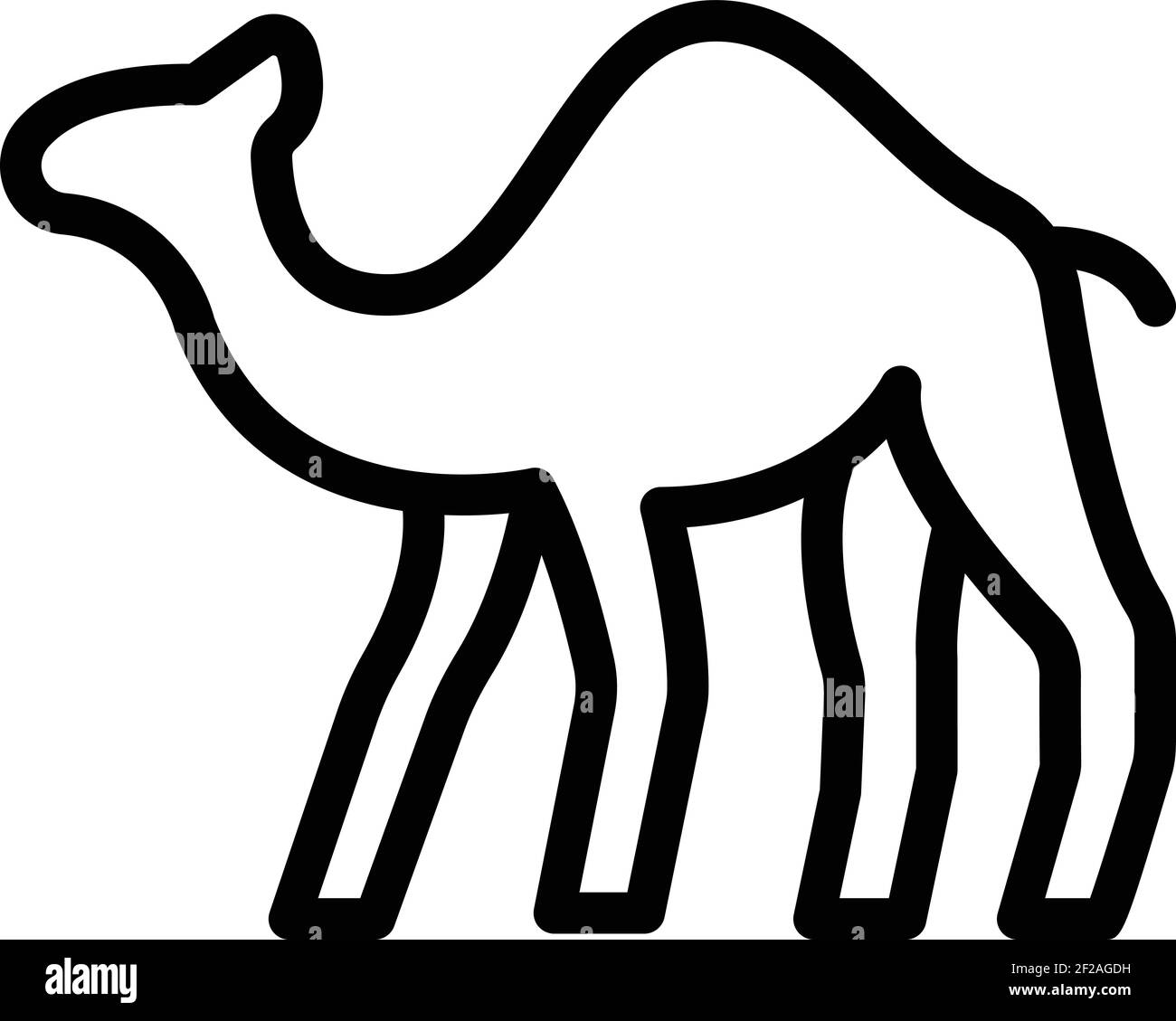 Riding camel icon. Outline riding camel vector icon for web design ...