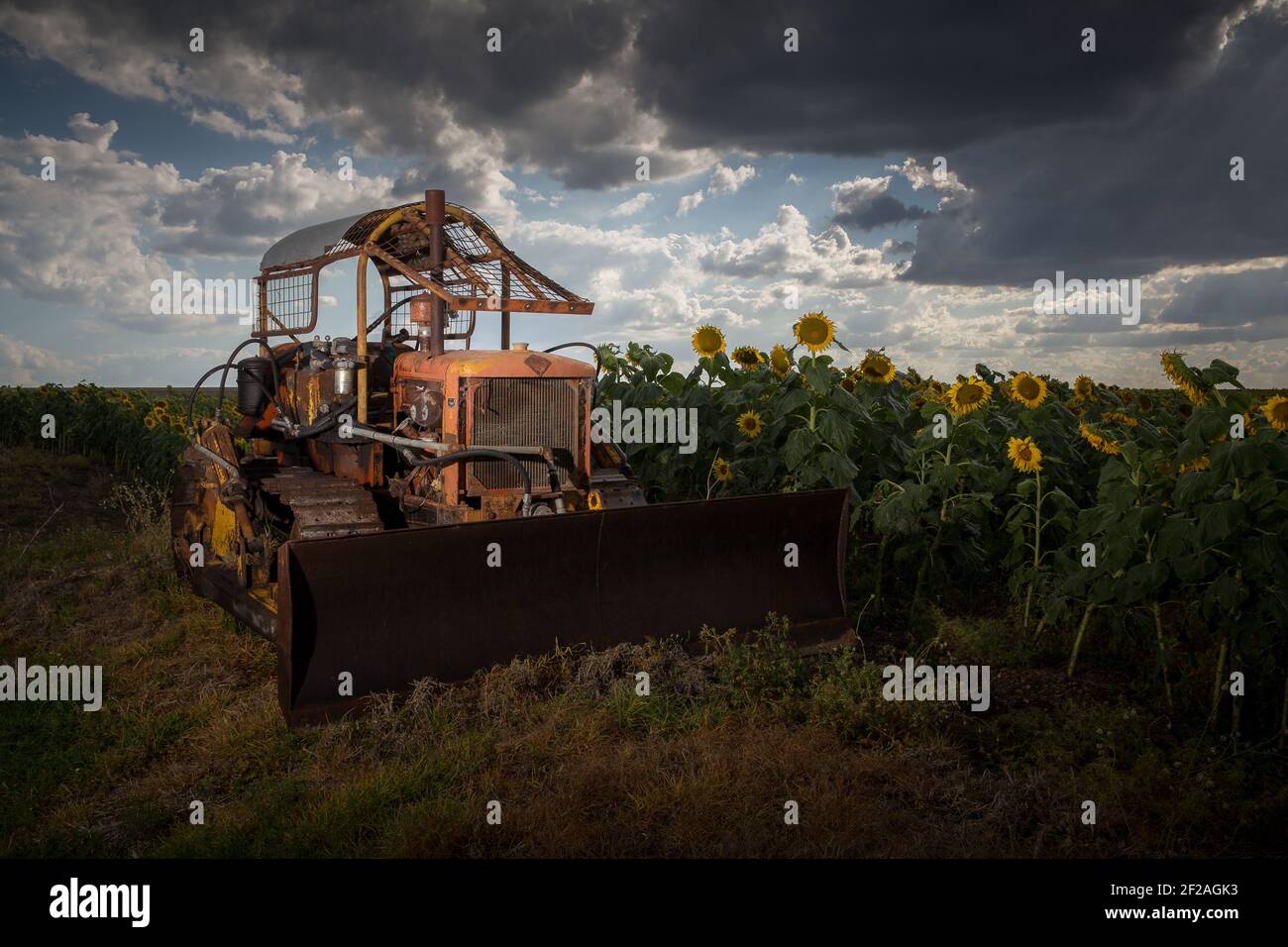 Self propelled agricultural machine hi-res stock photography and images ...