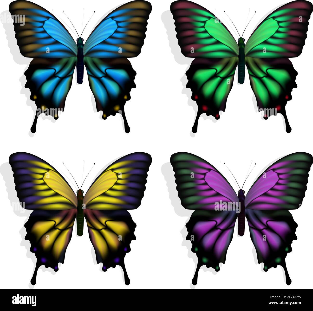 Vector blue, green, purple and yellow butterflies on white. EPS10 ...