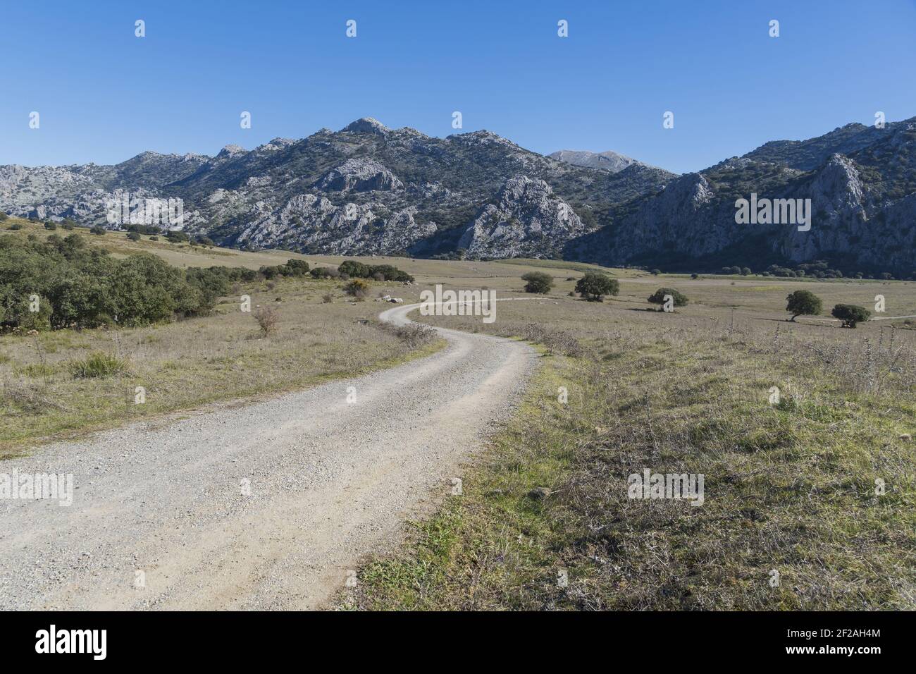 Los llanos colombia hi-res stock photography and images - Alamy
