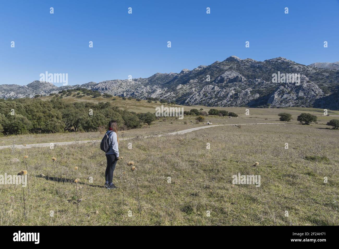 Los llanos colombia hi-res stock photography and images - Alamy