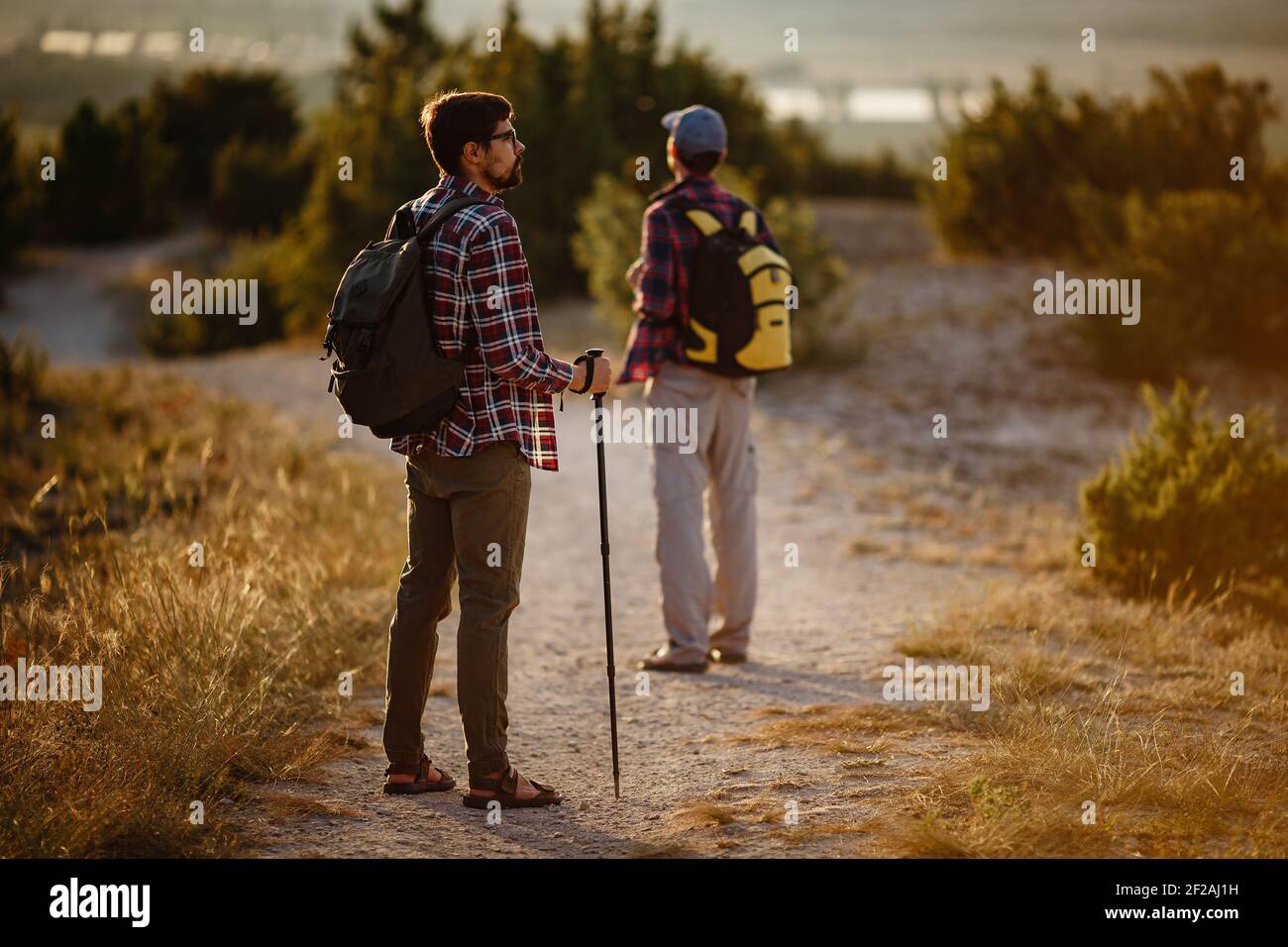 two men hikers enjoy a walk in nature, sunset time in summer. enjoying ...