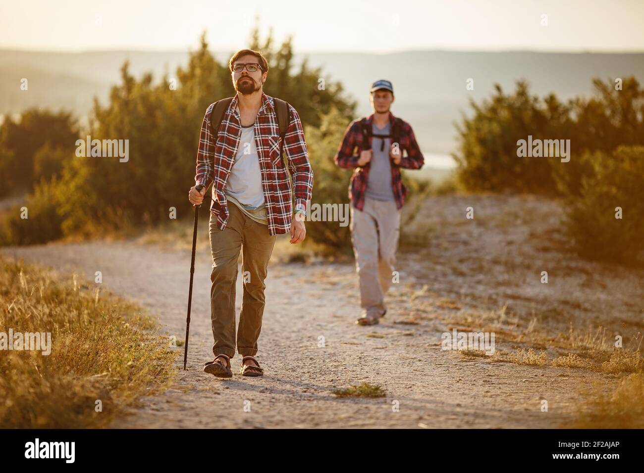 two men hikers enjoy a walk in nature, sunset time in summer. enjoying ...