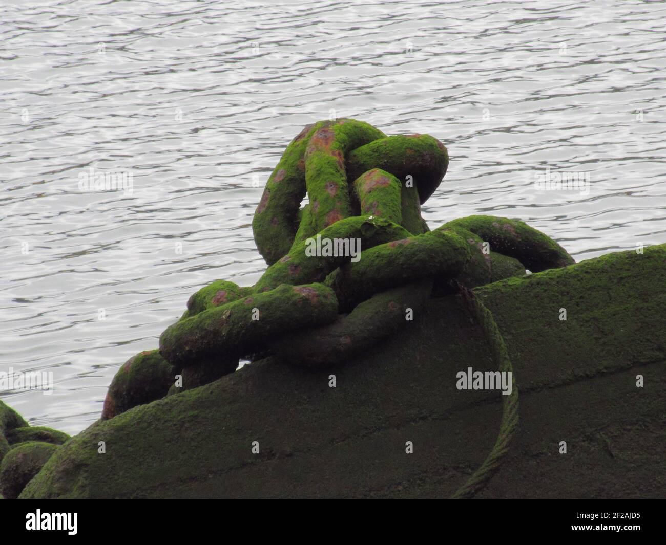 A rusty mooring chain covered with moss in a pier Stock Photo - Alamy
