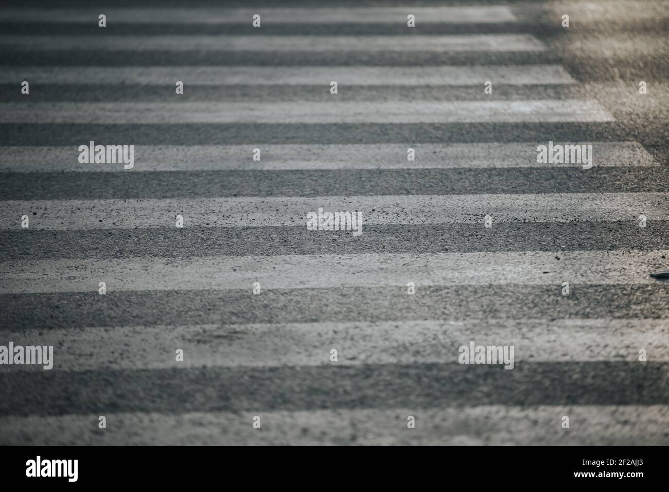 Empty crosswalk on asphalt road with a white sign Stock Photo - Alamy